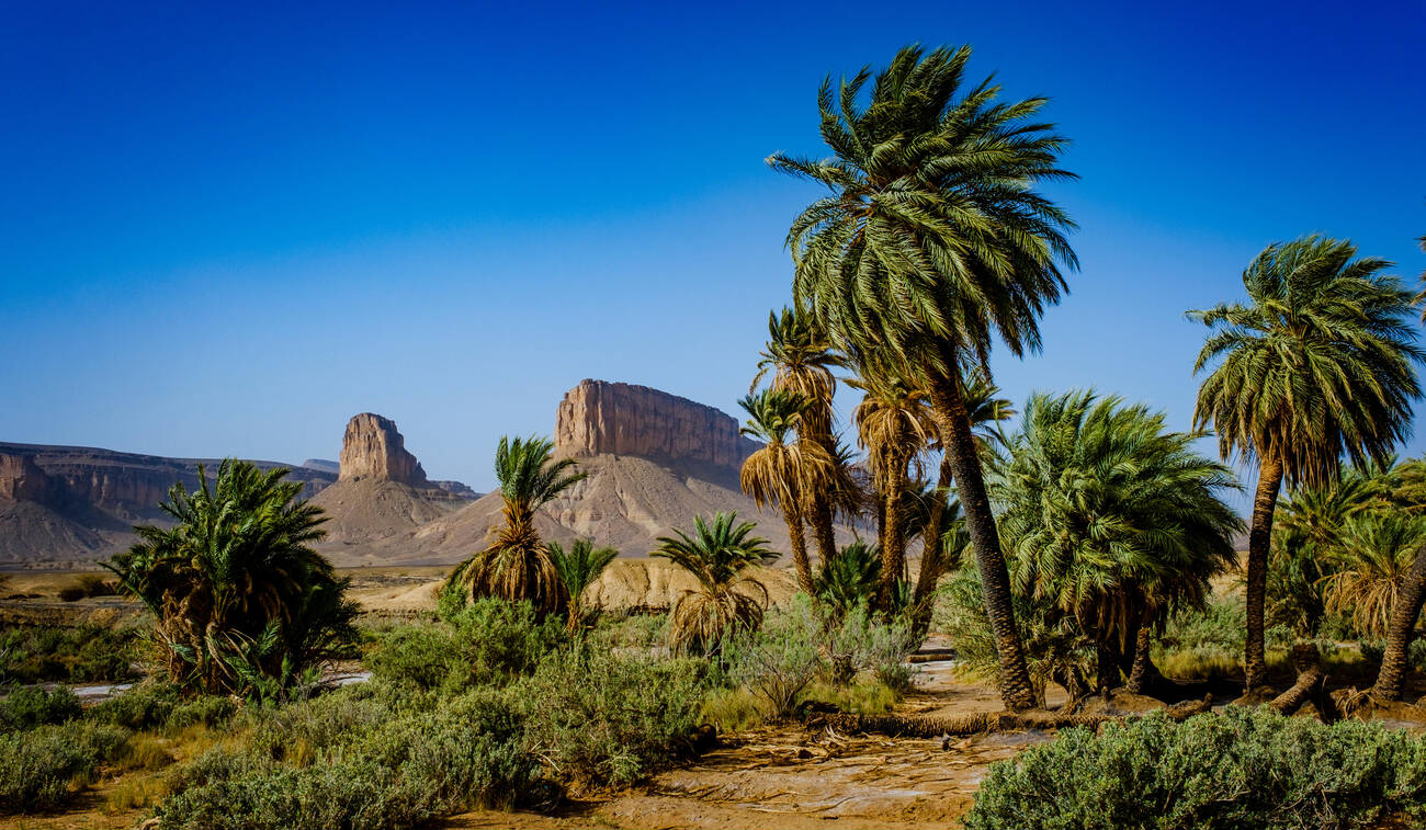 Circuits Desert Maroc – Voyage dans le désert marocain